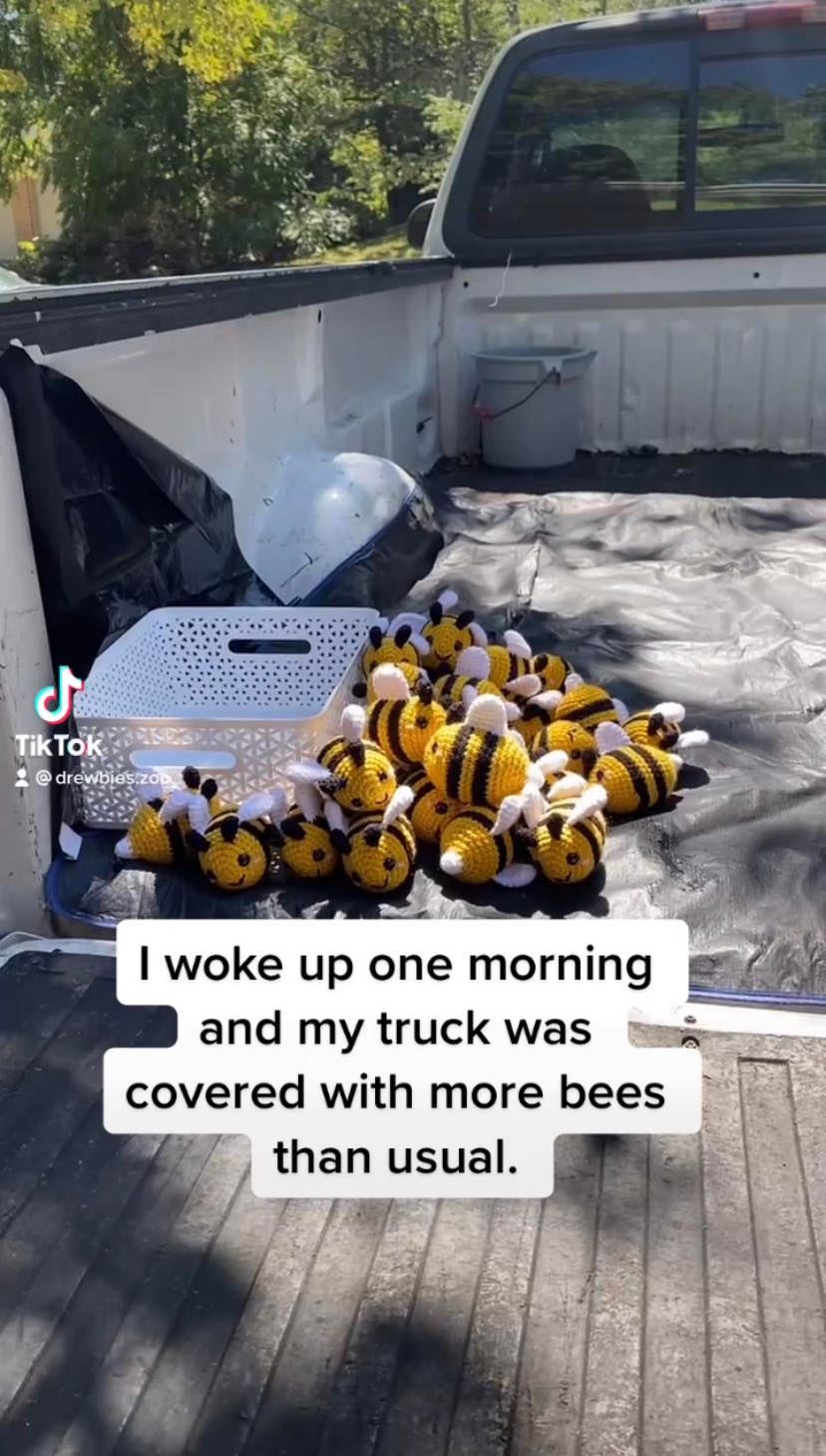 Erika Thompson, Queen Bee of Social Media's Beekeeping and Bee Removals ...